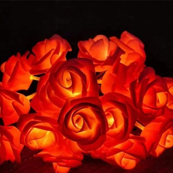 Holiday | New Led Red Roses String Lights | Poshmark